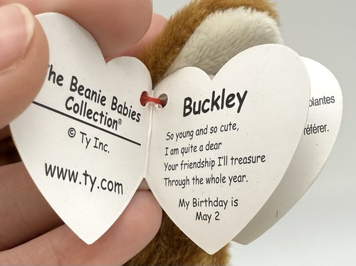 Ty Beanie Babies “Buckley” the Fawn Spotted Deer 2022 | eBay