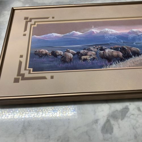 Spirit Of The Plains By Carol Bourdo Hand signed VTG Native American ...