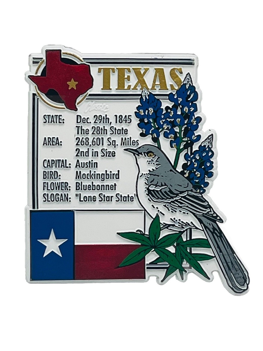 Texas State Symbols Symbols Of Texas