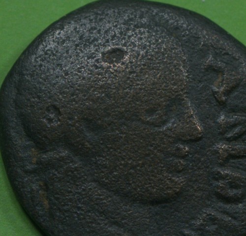 Roman Provincial ae20 Bronze Coin of Severus Alexander EAGLE JUDAEA | eBay