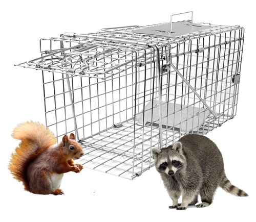 Live Animal Cage Trap, 31" x 11" x 12" Heavy Duty Folding Raccoon Traps ...