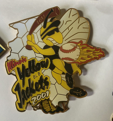 Vintage Softball Pin: Illinois Yellow Jackets 2001 Fastpitch Softball ...