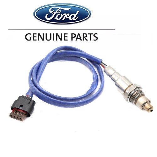 NEW OEM FORD F1FA-9G444-GB Oxygen Sensor Fits 15-18 Ford Focus 1.0L-L3 ...