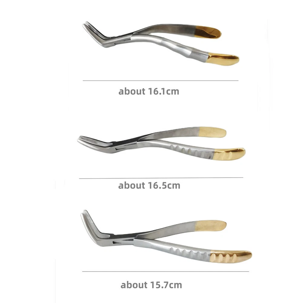 Dental Tooth Extraction Forceps Pliers Elevator Apical Root, 52% OFF