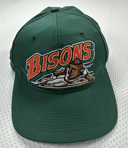 Buffalo New York Bisons Minor League Baseball Snap-Back Hat Cap Green ...