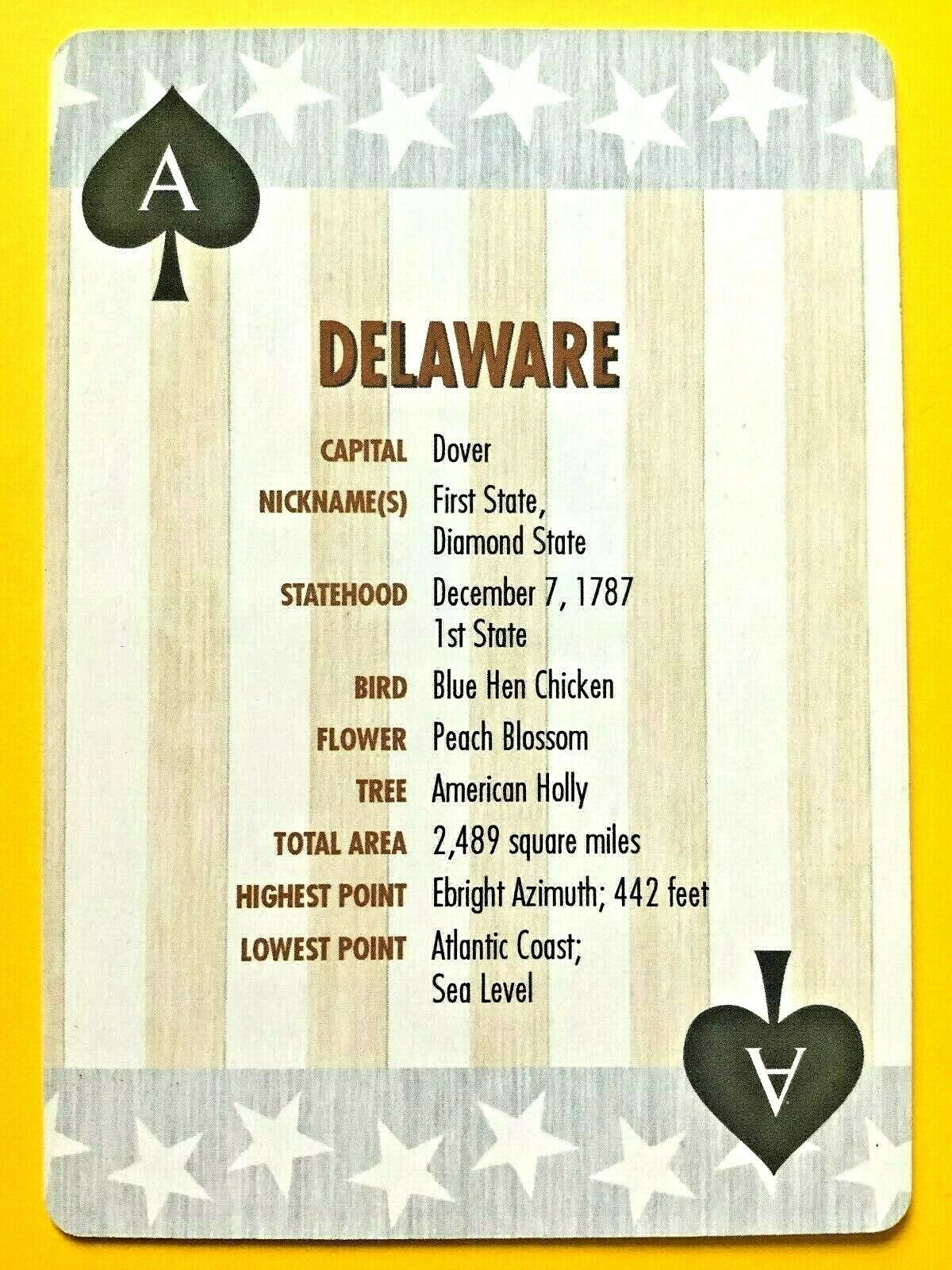 Delaware State Tree Facts
