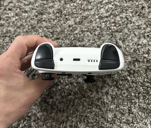 ECHTPower Nintendo Switch Wireless Pro Controller White Backlit USB-C Charging | eBay