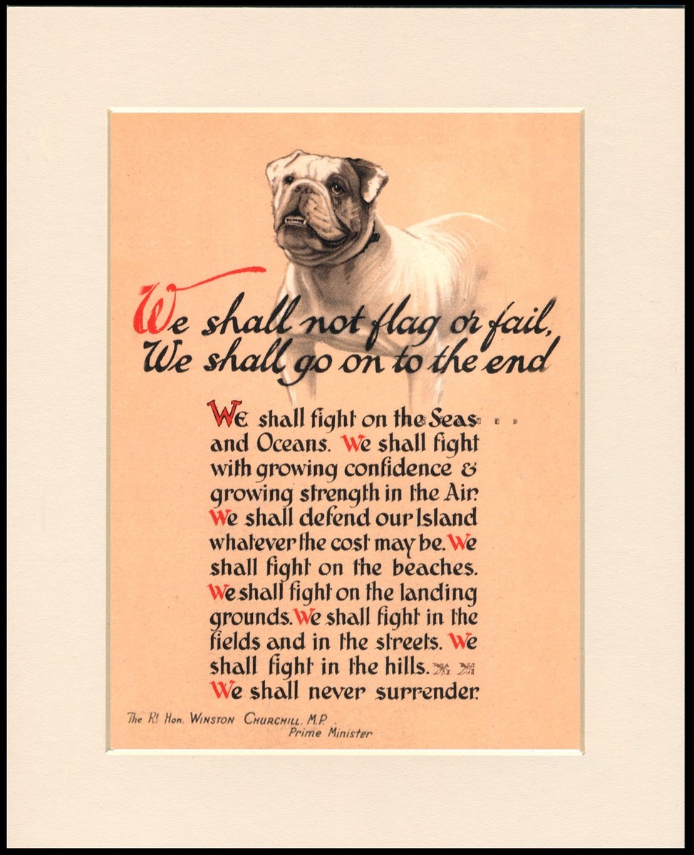 Engelse Bulldog Quotes
