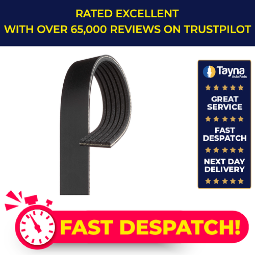 6 Rib Multi V Drive Belt fits SEAT Gates 032145933C 06A145933D ...