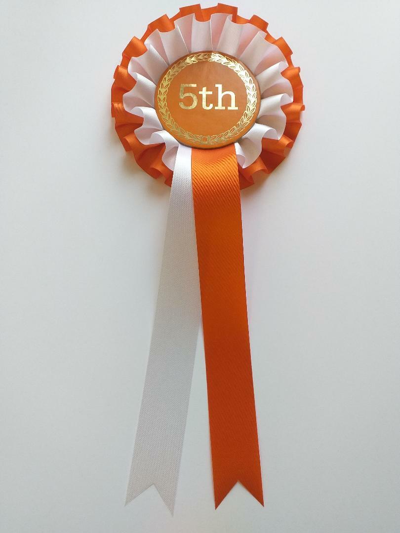 Award Rosettes Individual Placing 2 Tier Rosettes 1st - 6th Place FREE ...