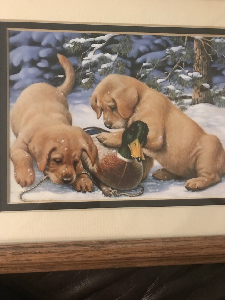 Jim Lamb "Winter Mischief" Framed print - Yellow Lab puppy - puppy ...