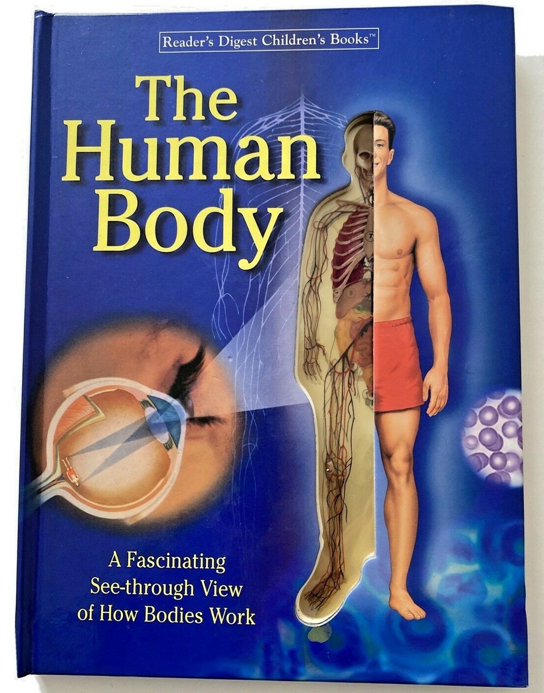 Windows on Science Ser.: The Human Body : A Fascinating See-Through ...