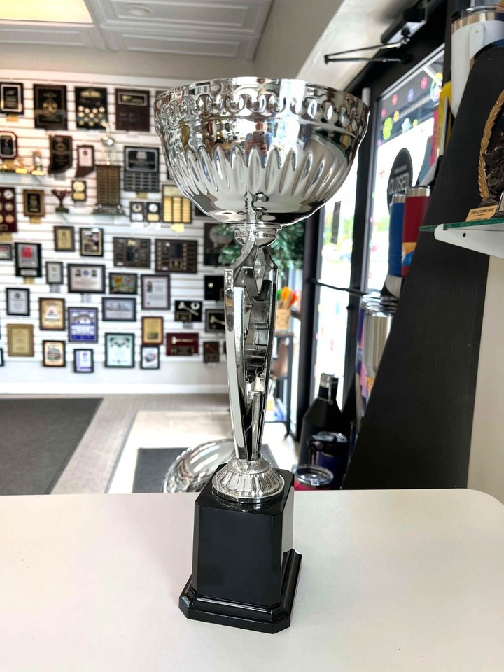 FANTASY FOOTBALL SILVER CUP FFL INDIVIDUAL AWARD SUPER COOL AWARD ...