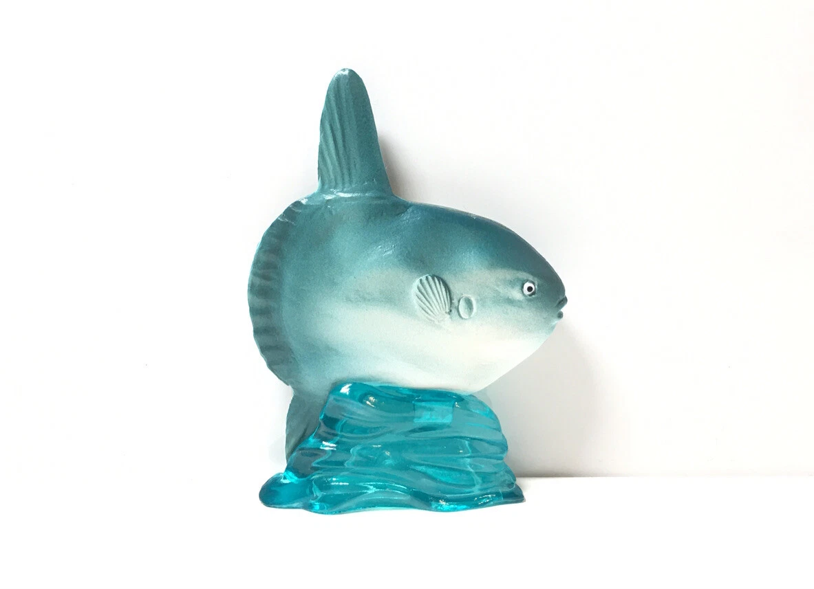 Ocean Sunfish Skeleton