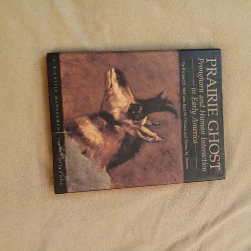 Prairie Ghost : Pronghorn and Human Interaction McCABE (2004, Hardcover ...