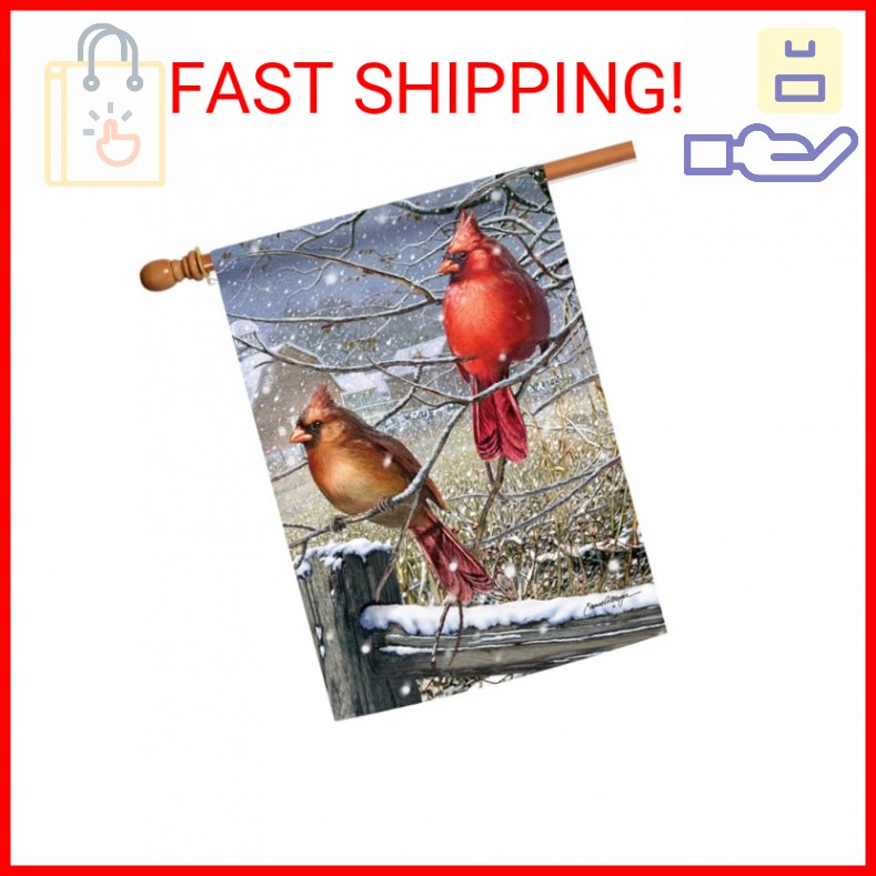 Toland Home Garden 1010431 Blizzard Buddies Winter Flag 28x40 Inch ...