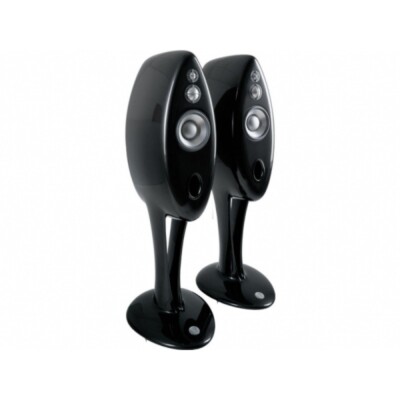 Pair of Vivid Audio Oval B1 Floorstanding Speakers (Black Gloss) | eBay.de