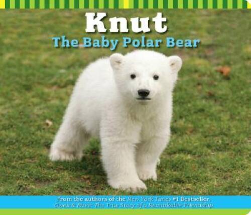 Knut The Baby Polar Bear - Board book By Juliana Hatkoff - GOOD ...