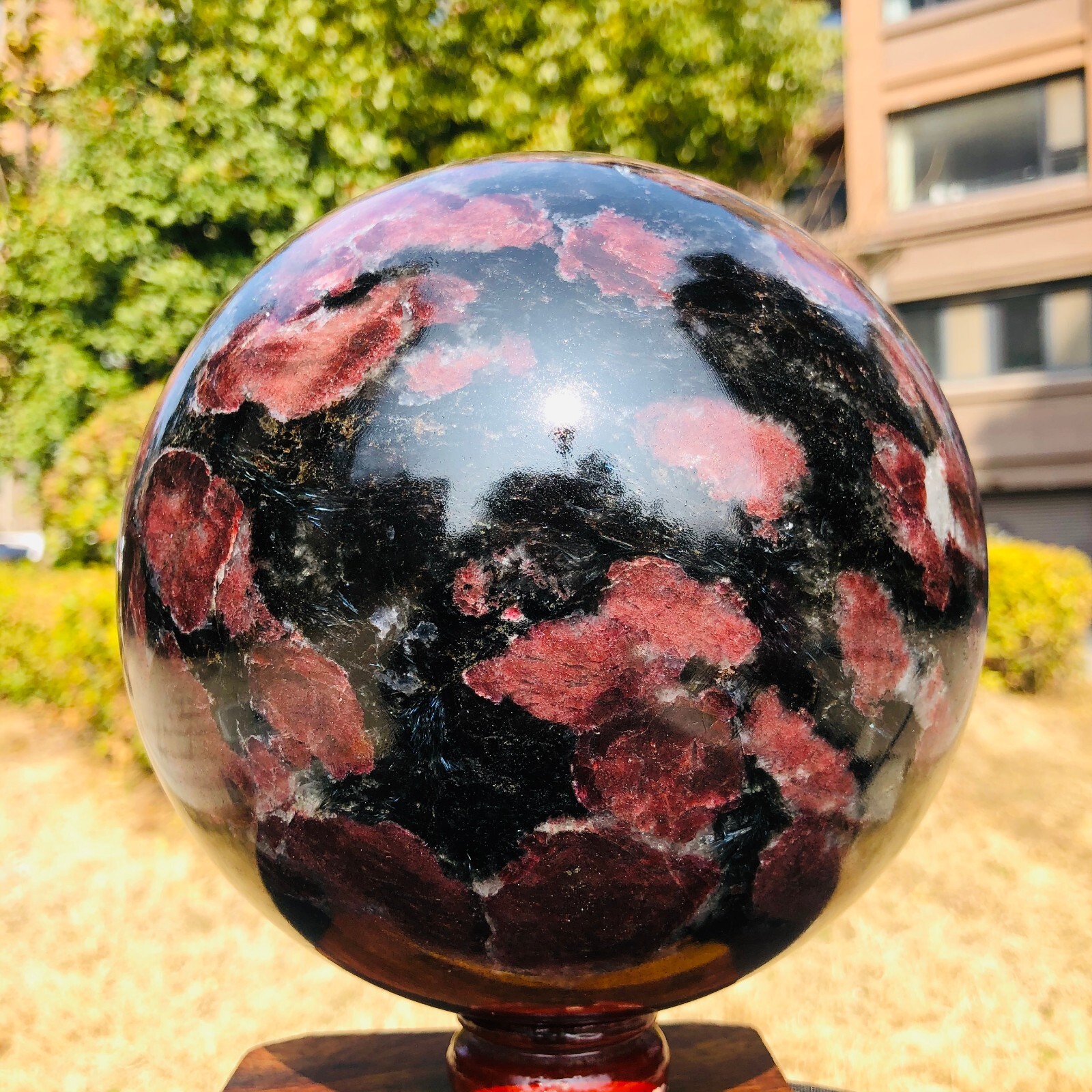 14.82LB Huge astrophyllite quartz "fireworks stone" crystal ball ...