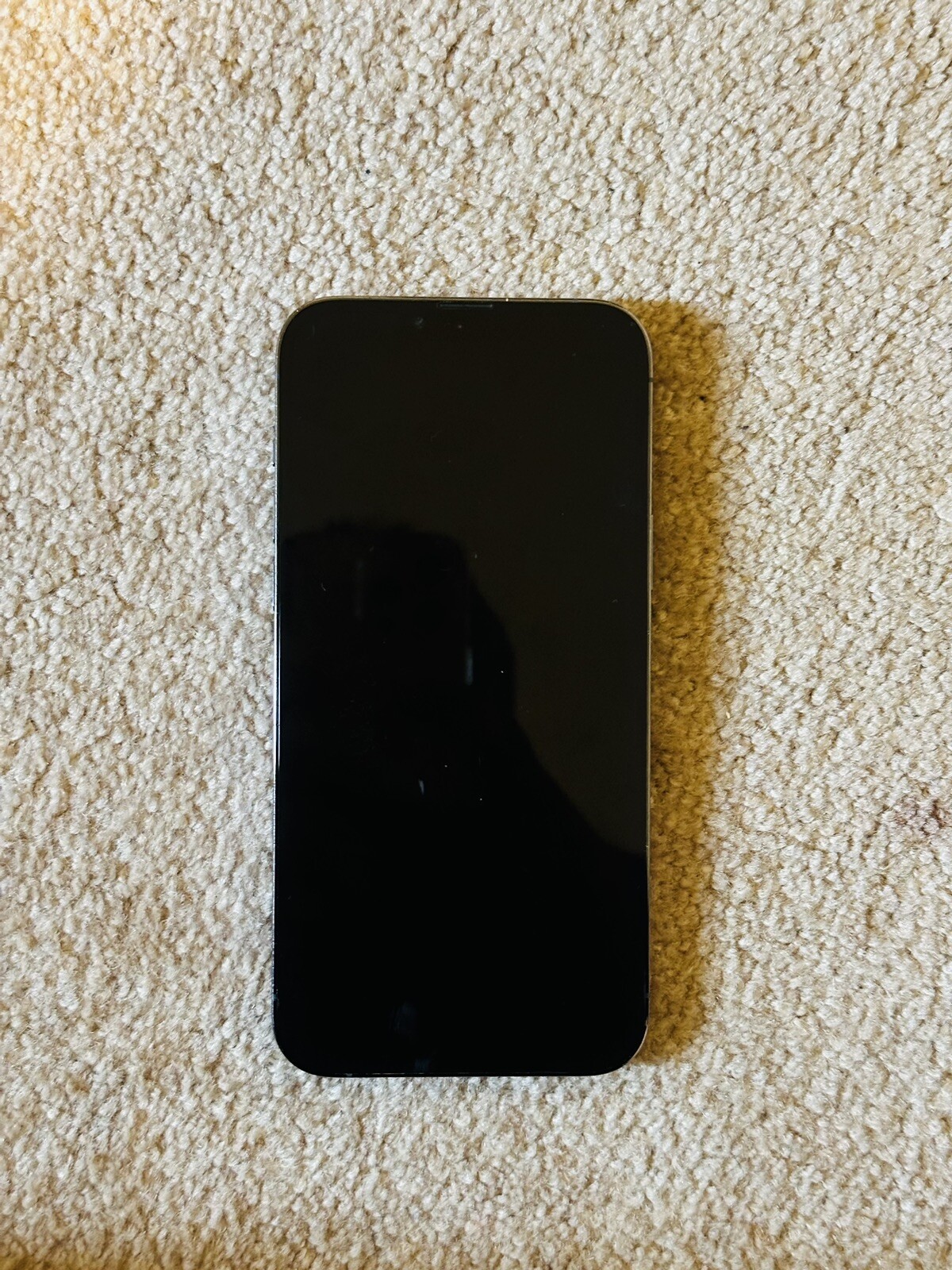 Apple iPhone 13 Pro Max 128GB Sierra Blue (Display Gone) 194252698785 ...