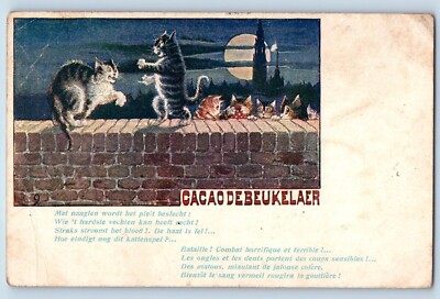 Louis Wain Artist Signed Postcard Cat Kitten Fighting Animals c1910's ...