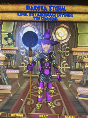 Wizard101 Account Level 82 Storm, 50 Life, 36 Ice Many Limited Items | eBay