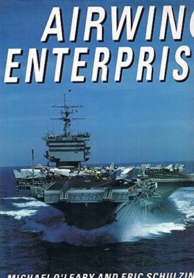 Airwing Enterprise by Schulzinger, Eric Hardback Book The Fast Free ...