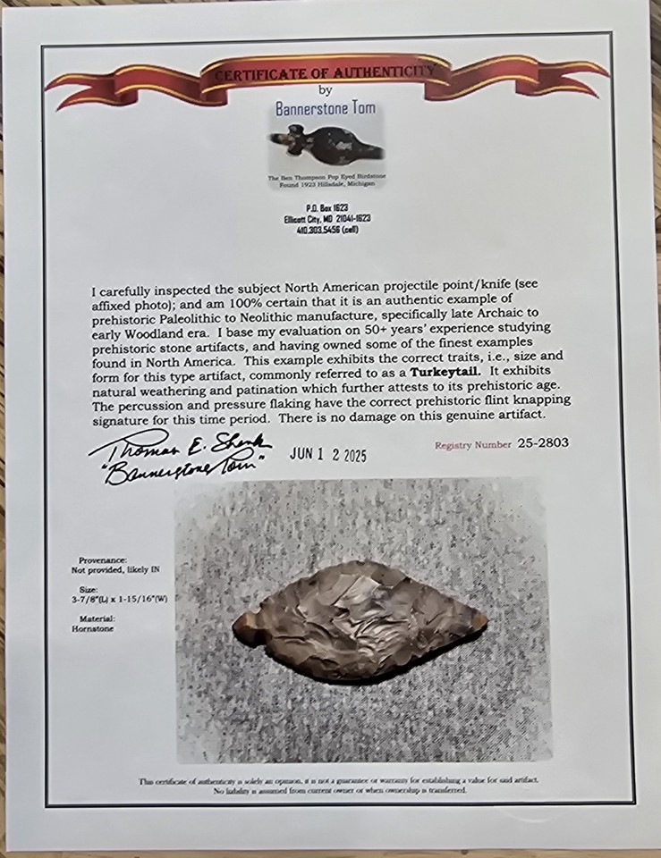 Turkey Tail Arrowhead- Shenk COA | eBay