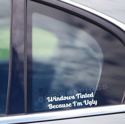 Windows Tinted Funny Vinyl Decal sticker Front, Side, Back, Window ...