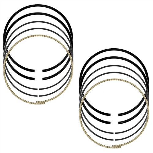 2 Cylinder Piston Ring for Can-Am 420296774 420685244 | eBay