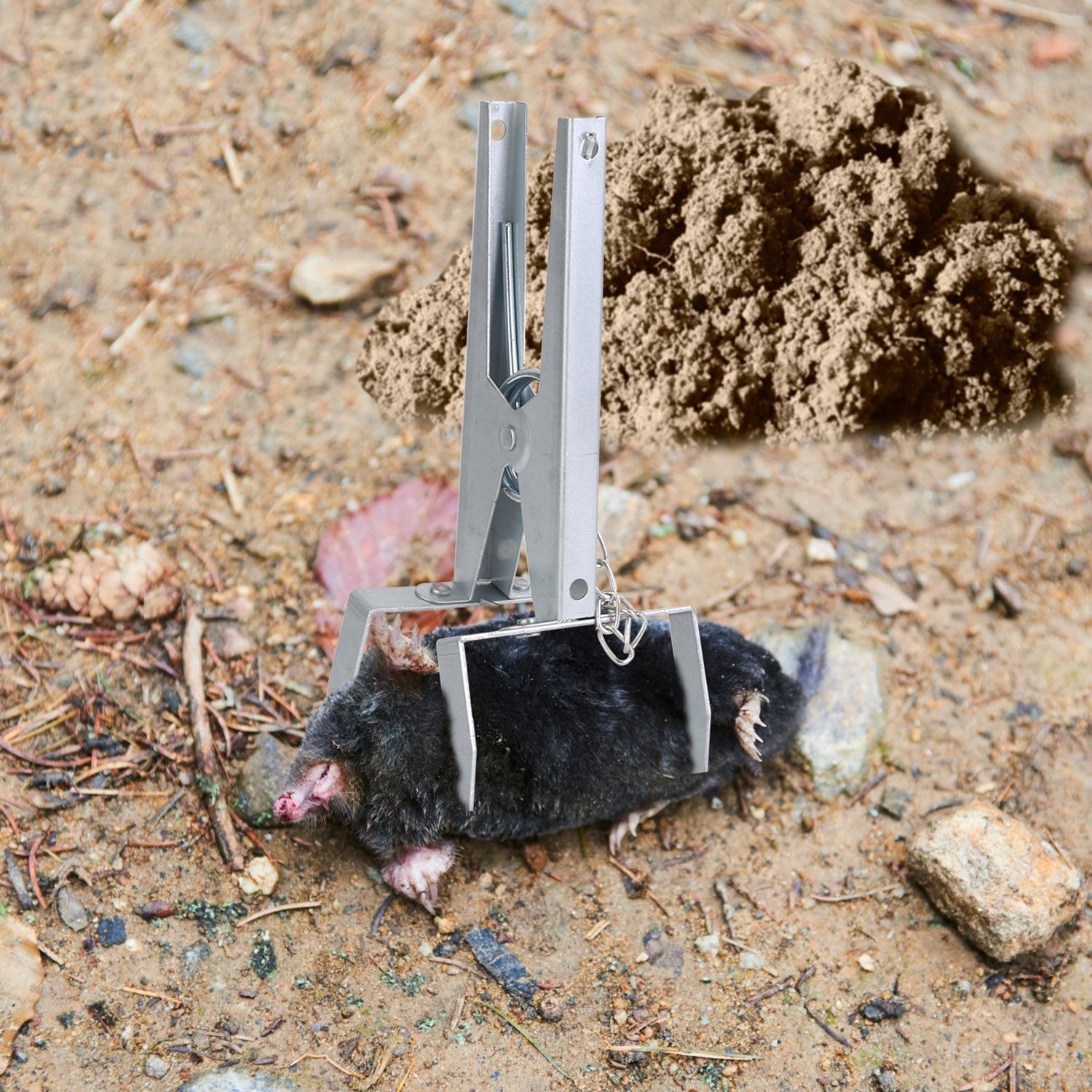 4PCS Reusable Claw Mole Traps with Scissor Jaw Mole Clips Galvanized ...