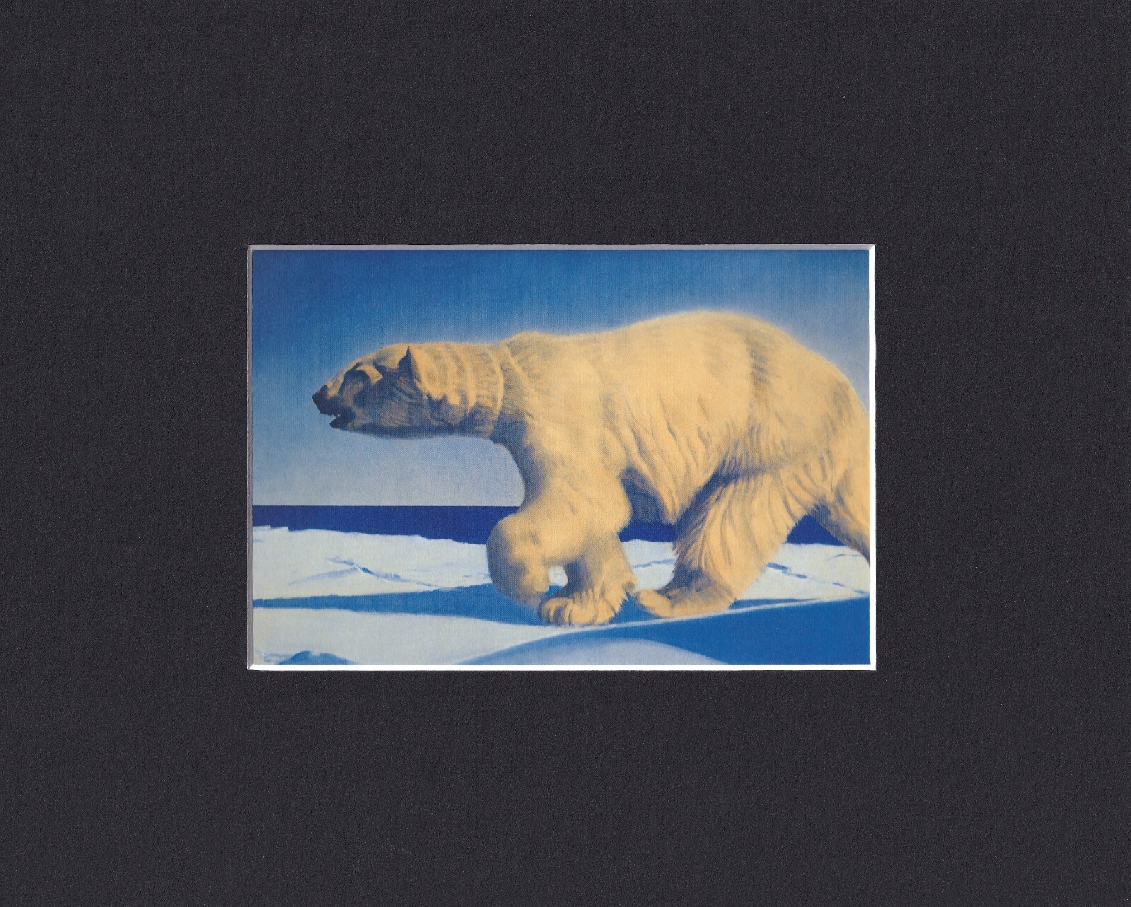 8X10" Matted Print Art Picture Painting Fred Machetanz Polar Bear ...