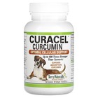 2 X Terry Naturally, Curacel Curcumin, For Dogs, 60 Softgels, 1.8 oz ...