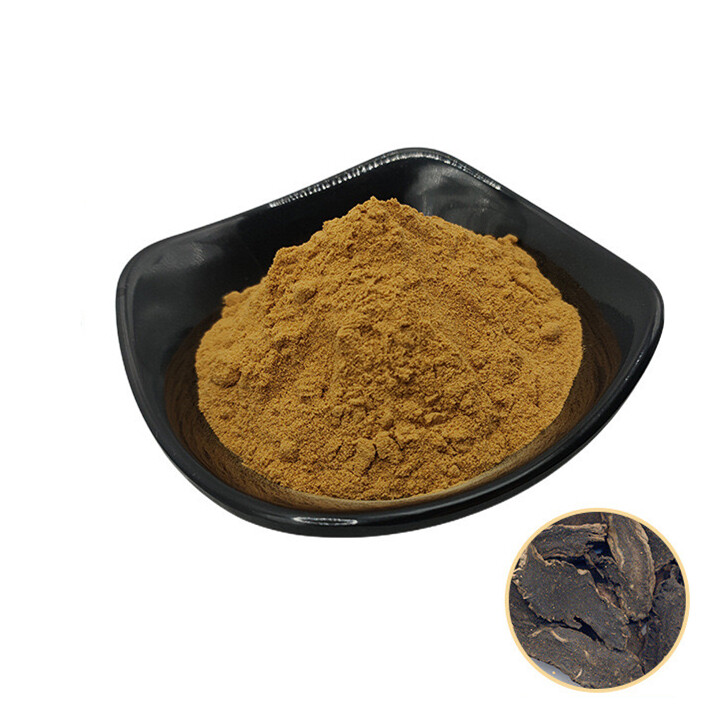 100g~500g Radix Scrophulariae Extract 30:1 Powder Xuan Shen | eBay ...