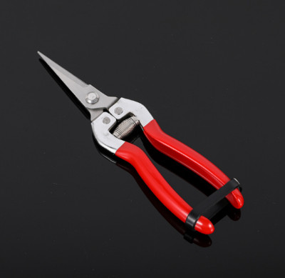 Stainless steel pruning scissors Fruit picking scissors Citrus grape ...