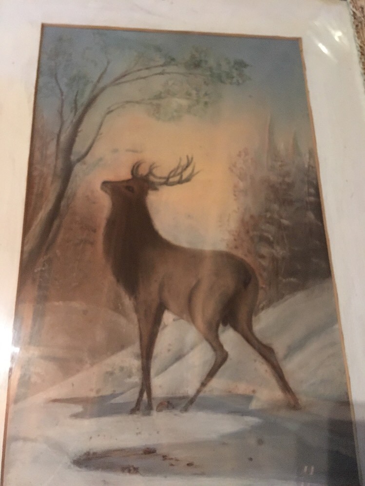 Elk Drawings Front View