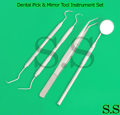 1 Set Dental Pick & Mirror Tool Sculpture Instrument Oral Kit Tooth 4 ...
