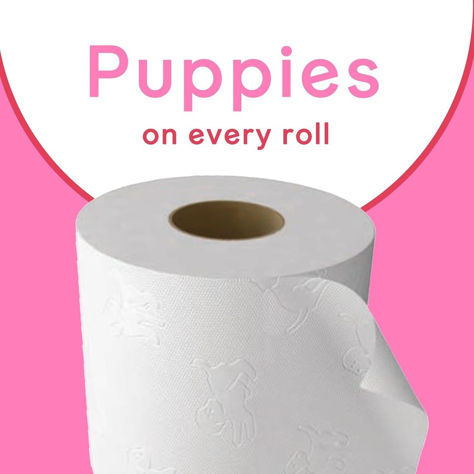 Andrex Family Soft Toilet Paper 24 Rolls (Previously Andrex Gentle ...