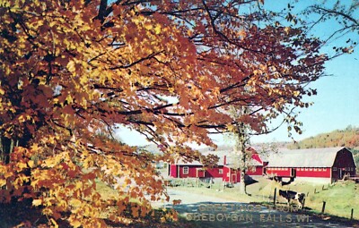Greetings from Sheboygan Falls Wisconsin Red Barn Fall Autumn Postcard ...