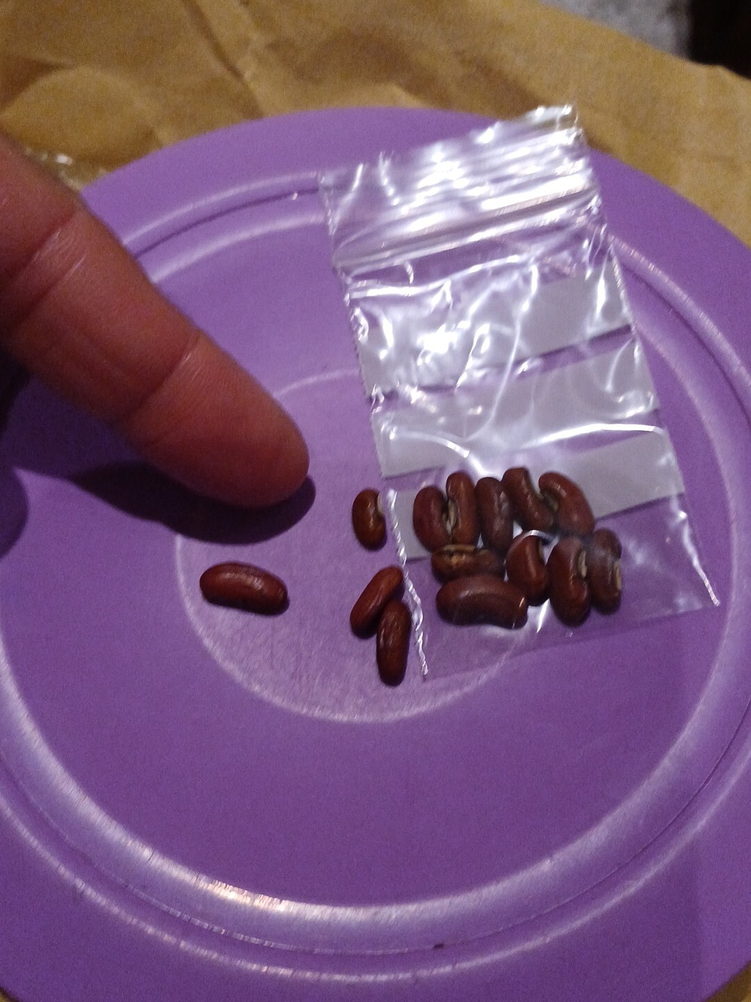 Yard Long Bean - Early type Chinese Snake Asparagus Lubi Uri Vegetable ...