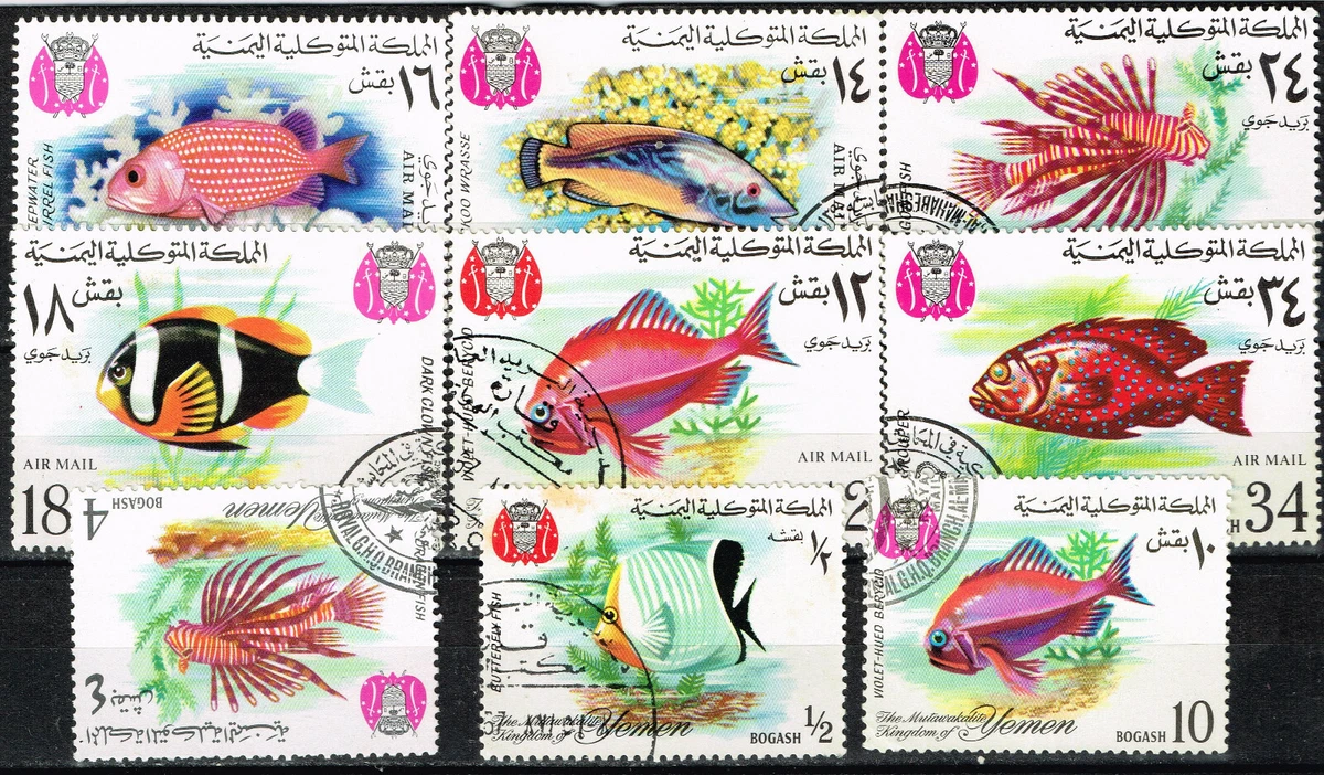 Arabian Sea Fish