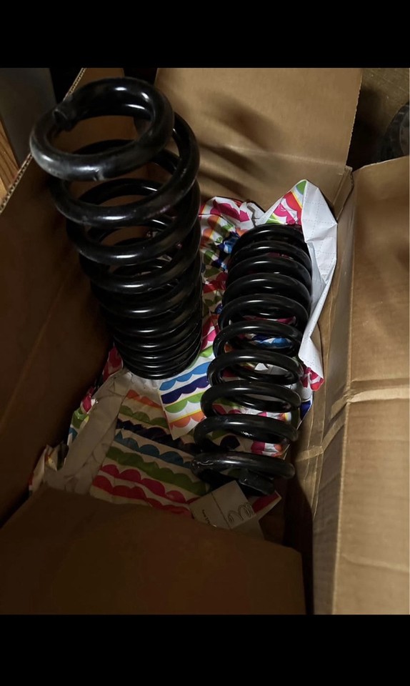 Ford Truck Bronco 1975-1996 F100 F150 Front Coil Springs Pair | eBay