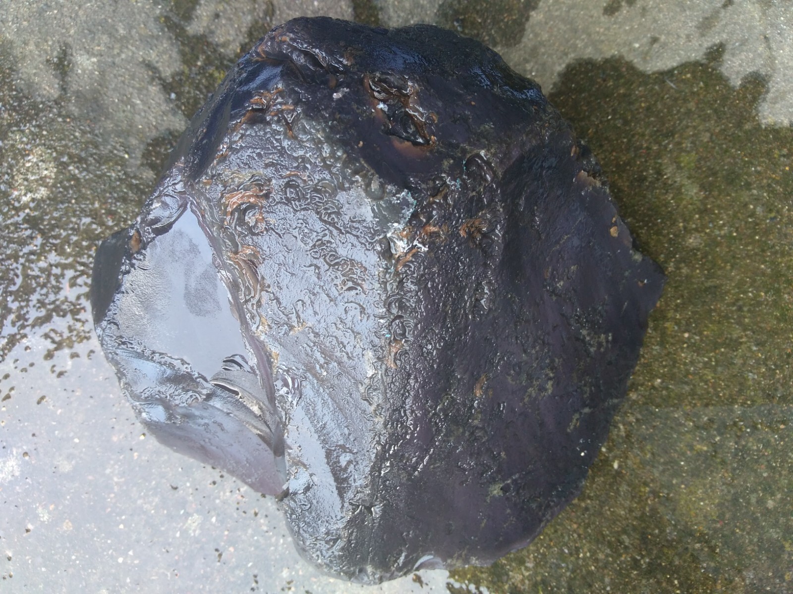 Premium Purple Sheen Rainbow Obsidian Rough.- Over 10 lbs. total weight ...