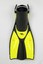 PROMATE Spectrum Adult Snorkeling Mask Fins Dry Snorkel Mesh Bag Dive ...