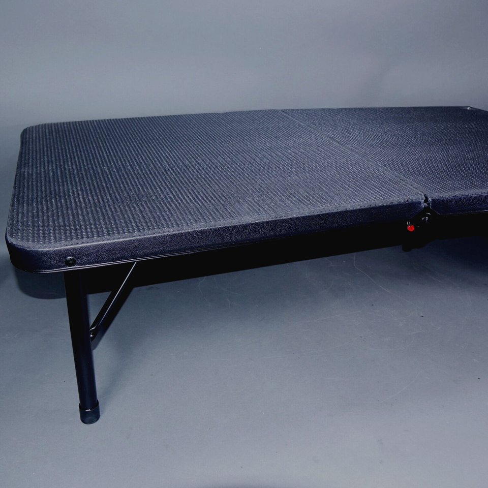 Original 4 Paws Portable Dog Platform Small or Large Pets Folding Step ...