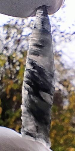 Authentic Arrowhead Translucent Banded Obsidian Buchannon Eared Found ...