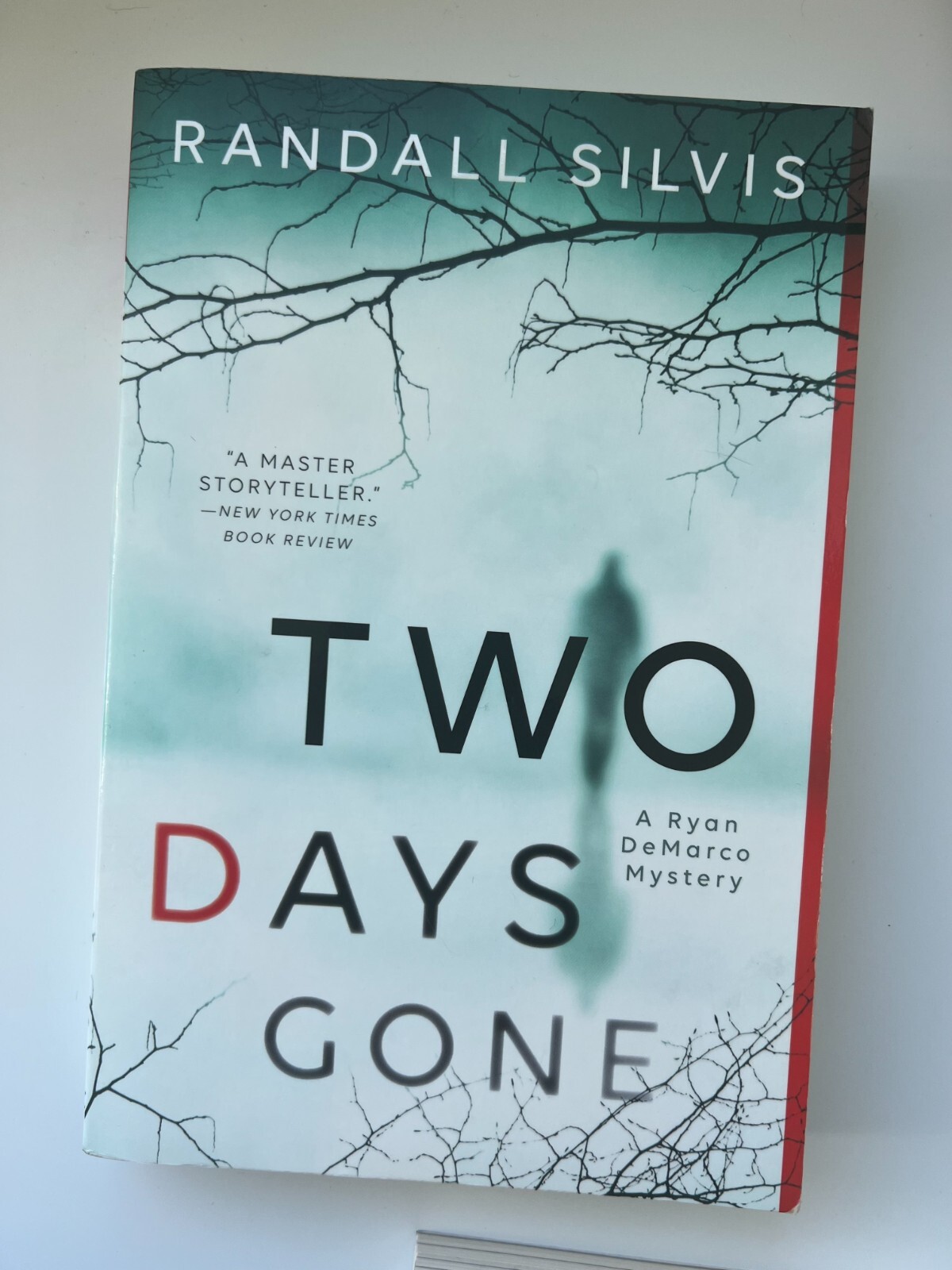 Ryan Demarco Mystery Ser.: Two Days Gone by Randall Silvis (2017, Trade ...