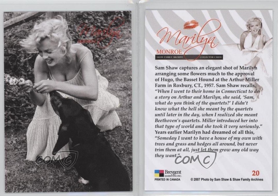 2007-08 Breygent Marilyn Monroe: Shaw Family Archive Marilyn Monroe #20 ...