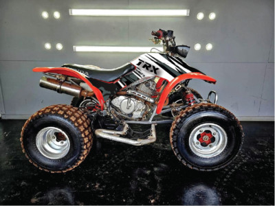 1993 - 2006 Honda TRX 300 EX Graphics Kit - Pro Ed D35-3 Gray | eBay