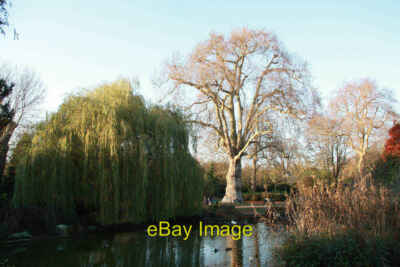 Photo 6x4 Cedars Park, Waltham Cross - Pond Cheshunt c2011 | eBay UK
